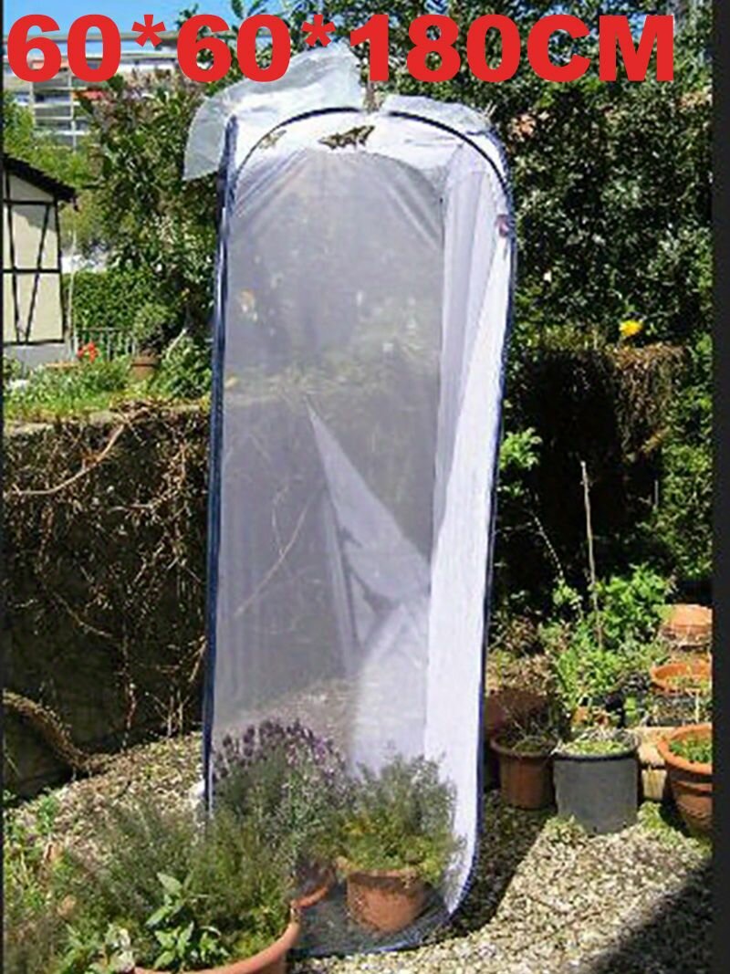 Ферма Бабочек Для Выращивания