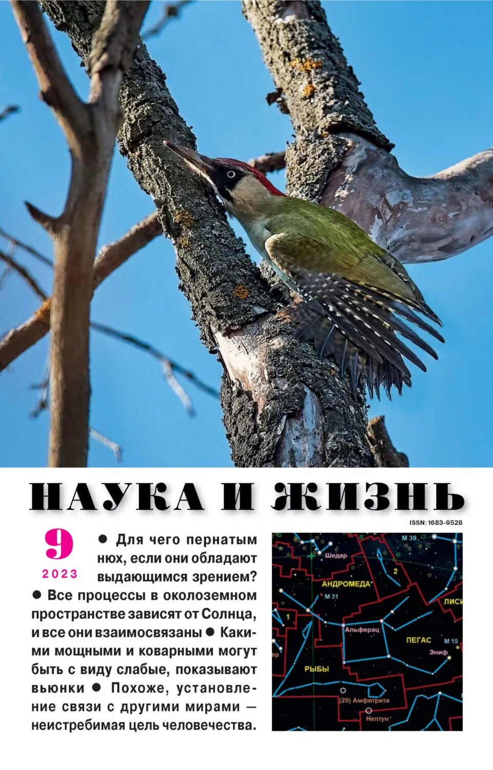 Наука и жизнь №09/2023 [Цифровая книга]