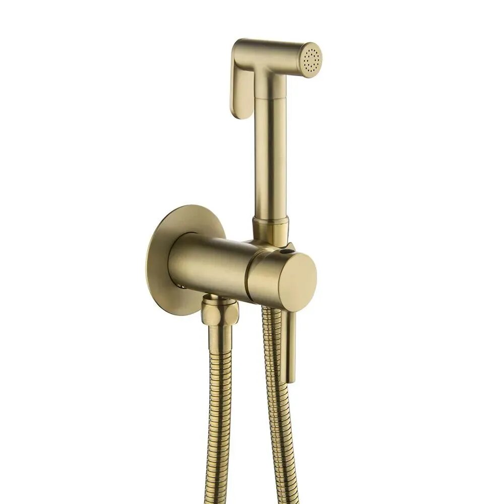 Встраиваемый смеситель для биде с гигиеническим душем, латунь, горячая/холодная вода, матовое золото