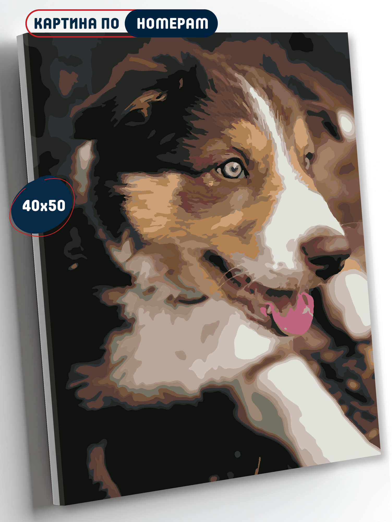 Картина по номерам "Австралийская овчарка", Холст на подрамнике 40х50, набор для рисования, с собакой