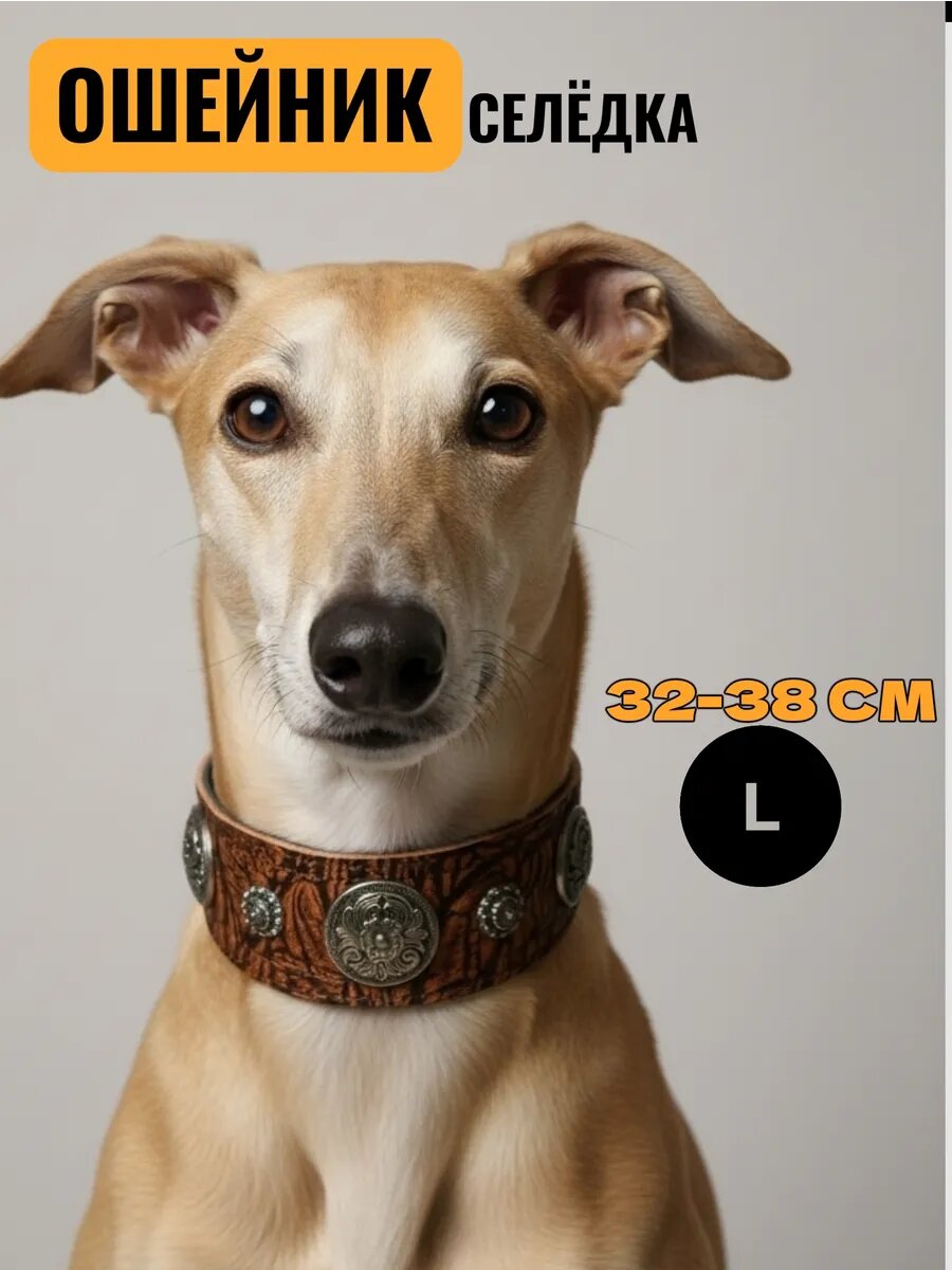 Dogbond ошейник-селедка для малых и средних пород