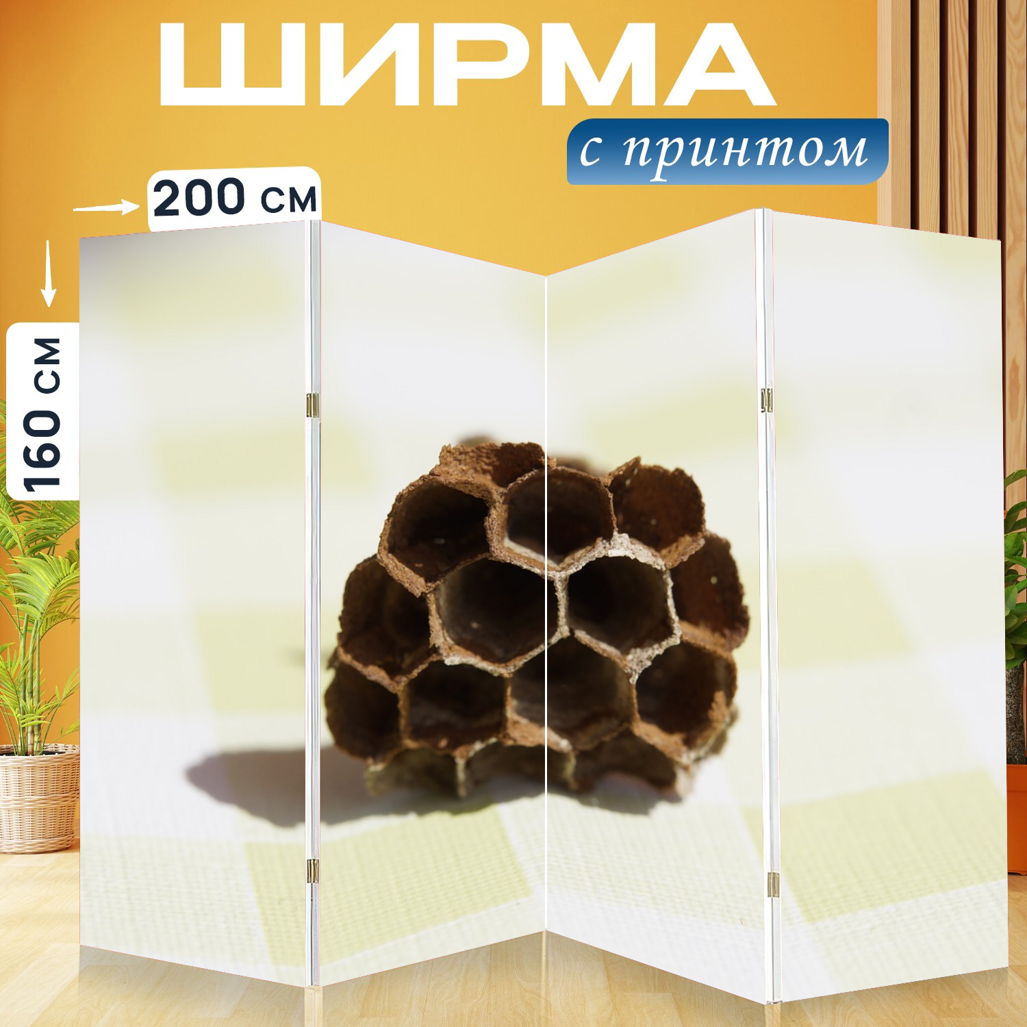 Ширма "Осиное гнездо, соты, пустой" перегородка для зонирования комнаты с принтом 200x160 см. на холсте