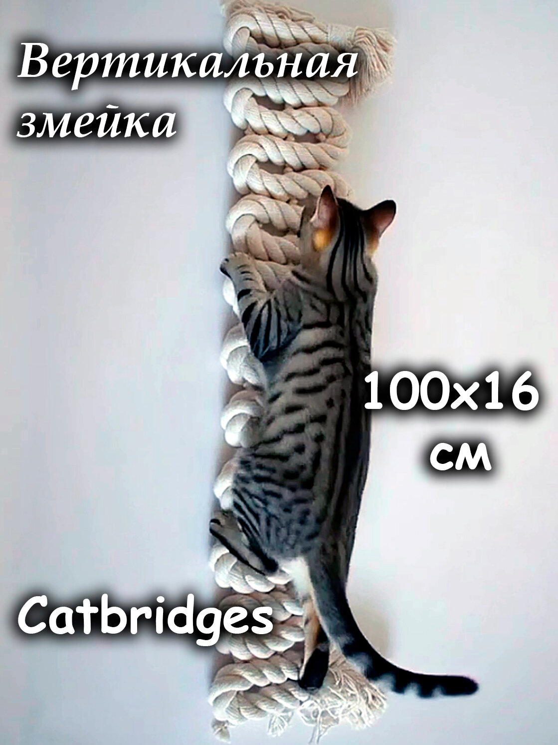 Вертикальная Змейка 100x16x3,2 см. С креплениями. Catbridges Настенный мост для кошек. Когтеточка.
