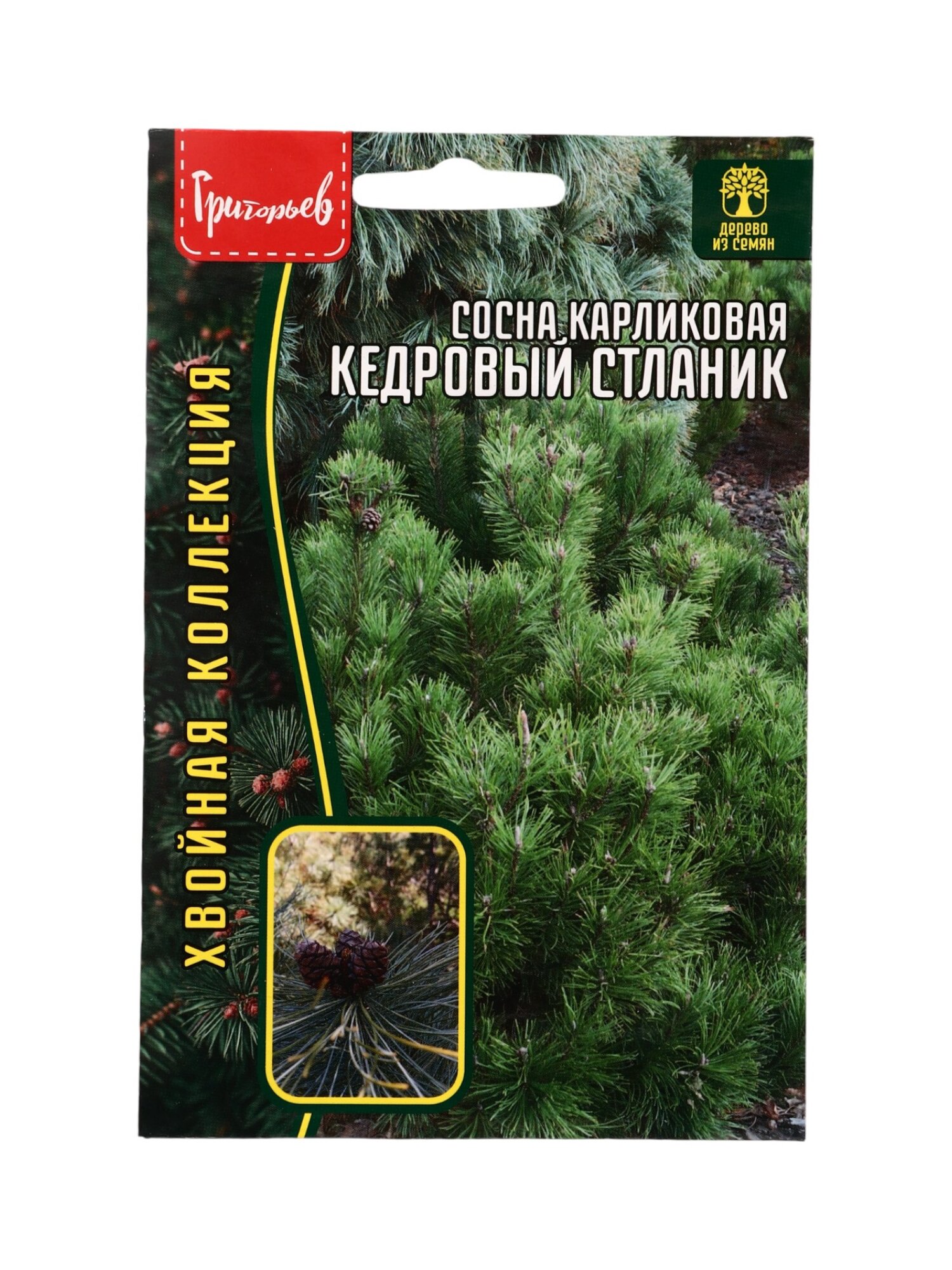 Семена цветов Сосна Кедровый Стланик карликовая 5 шт. 12.29 г. 10967432