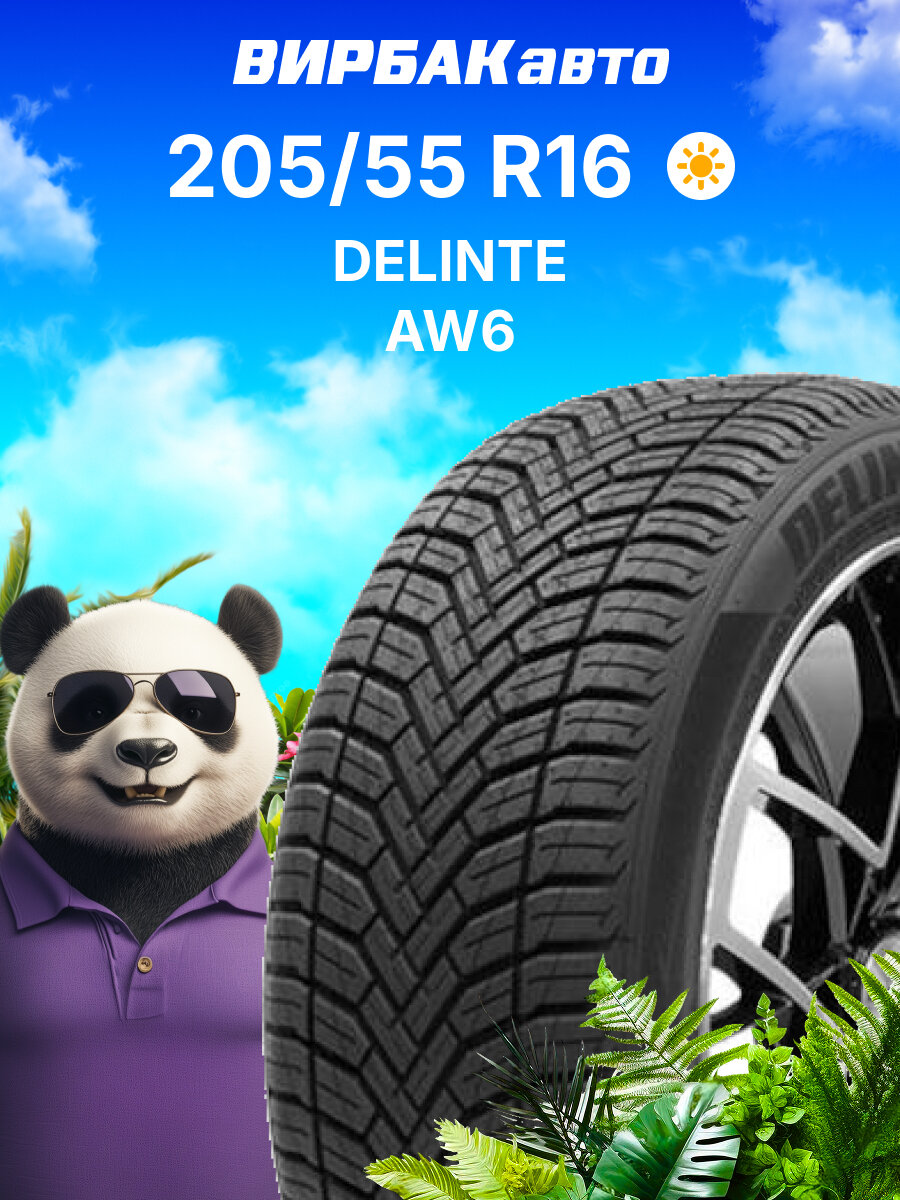 Летние шины DELINTE AW6 205/55R16 94V