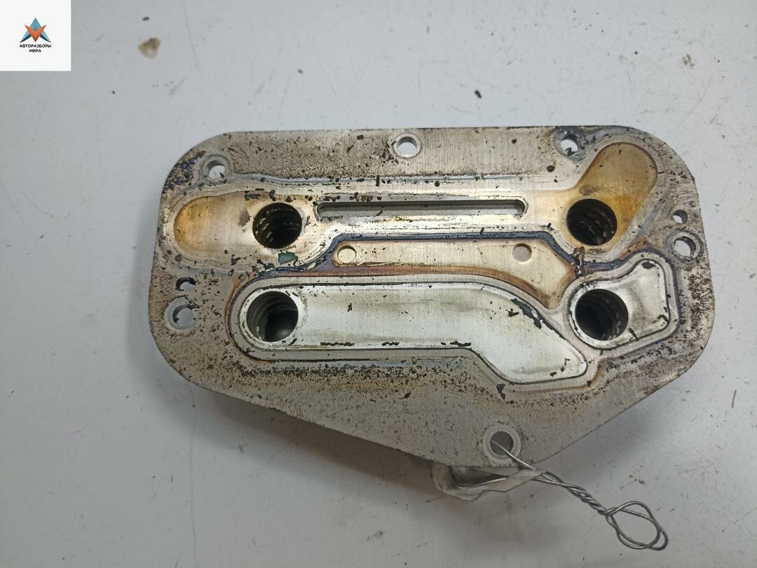 Радиатор масляный Opel Astra H/Family рест. 2006 55355603