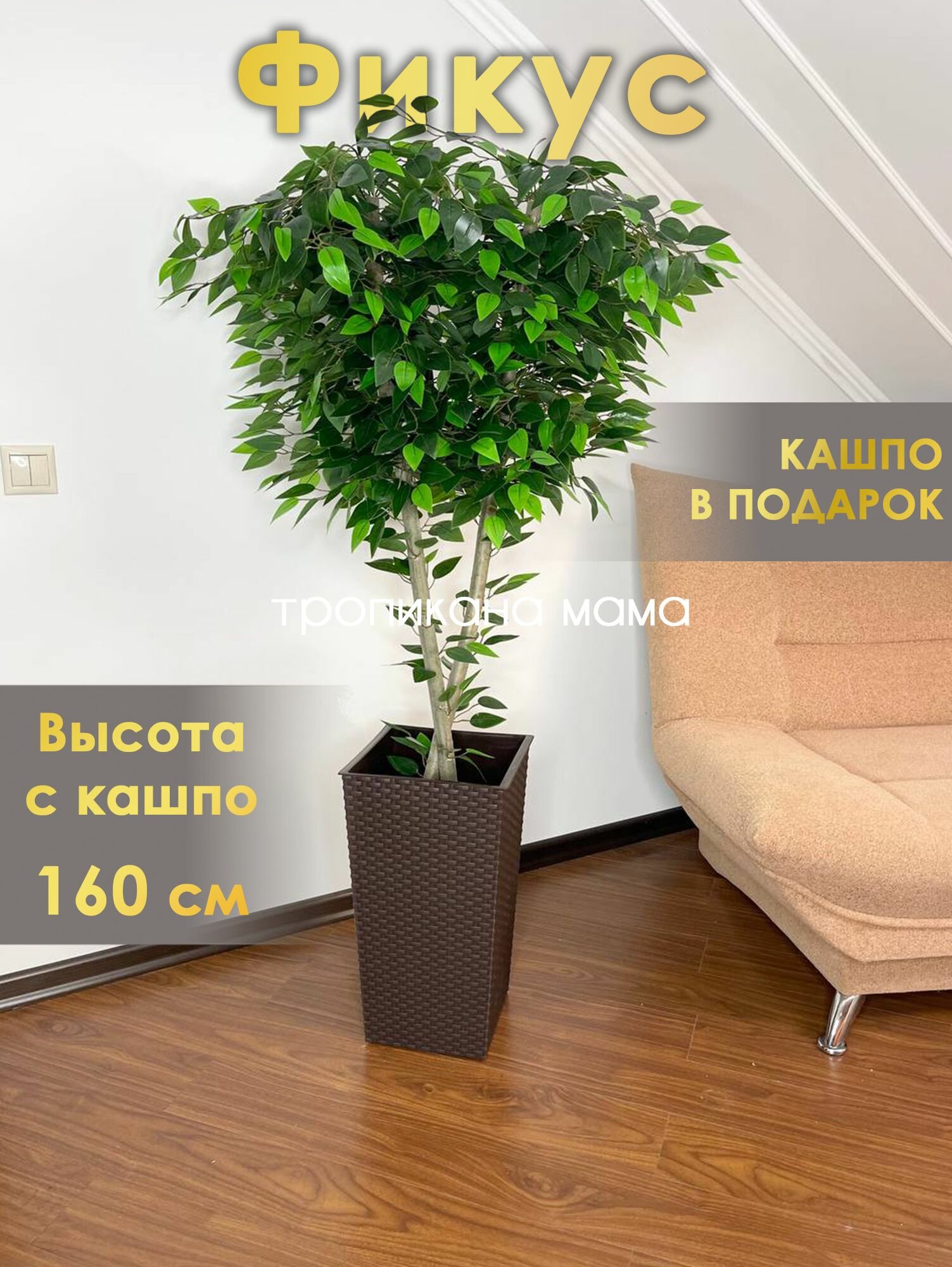 Искусственное дерево фикус, декоративное растение для декора интерьера в коричневом кашпо, 160 см