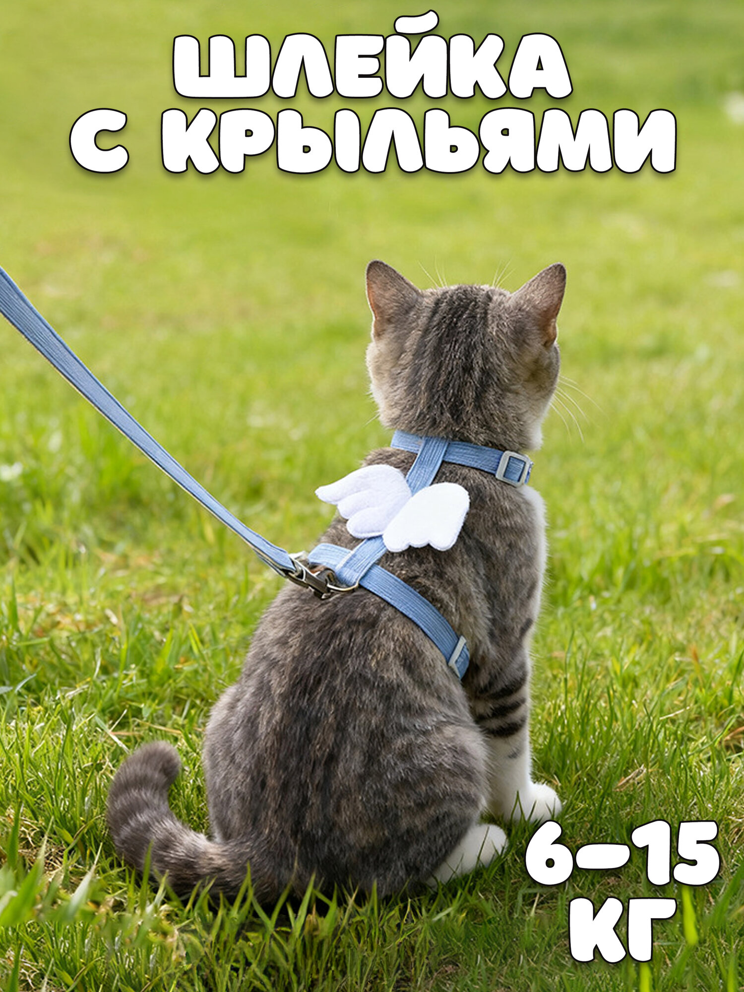Шлейка анатомическая для кошек и маленьких собак с крыльями