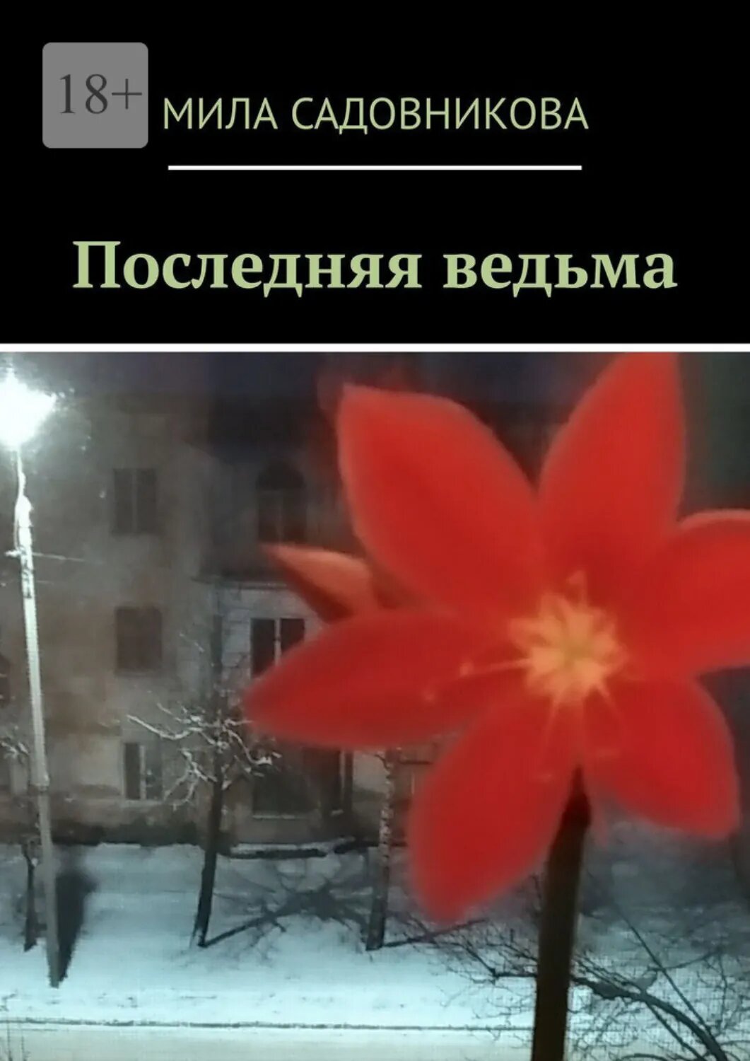 Последняя ведьма [Цифровая книга]