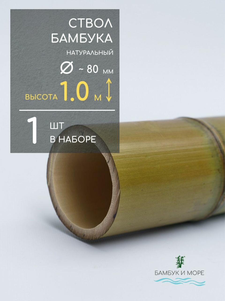 Ветка, шишка декоративная