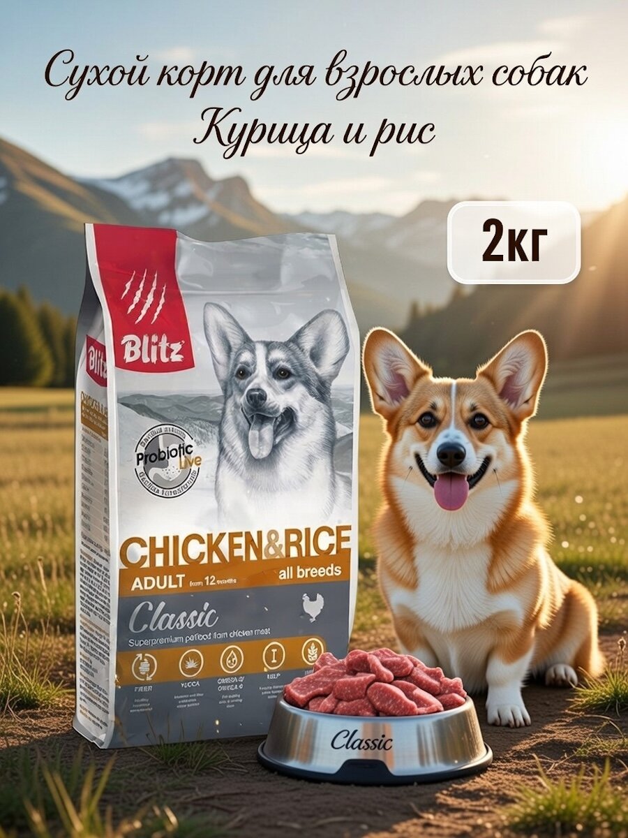 Сухой корм для собак Blitz Classic Chicken & Rice курица с рисом, 2 кг