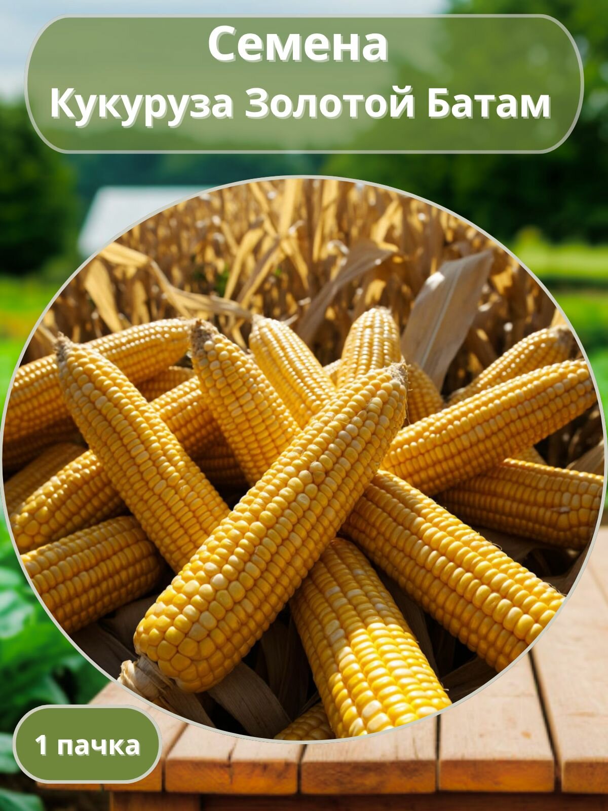 Кукуруза Золотой Батам, семена 10 шт