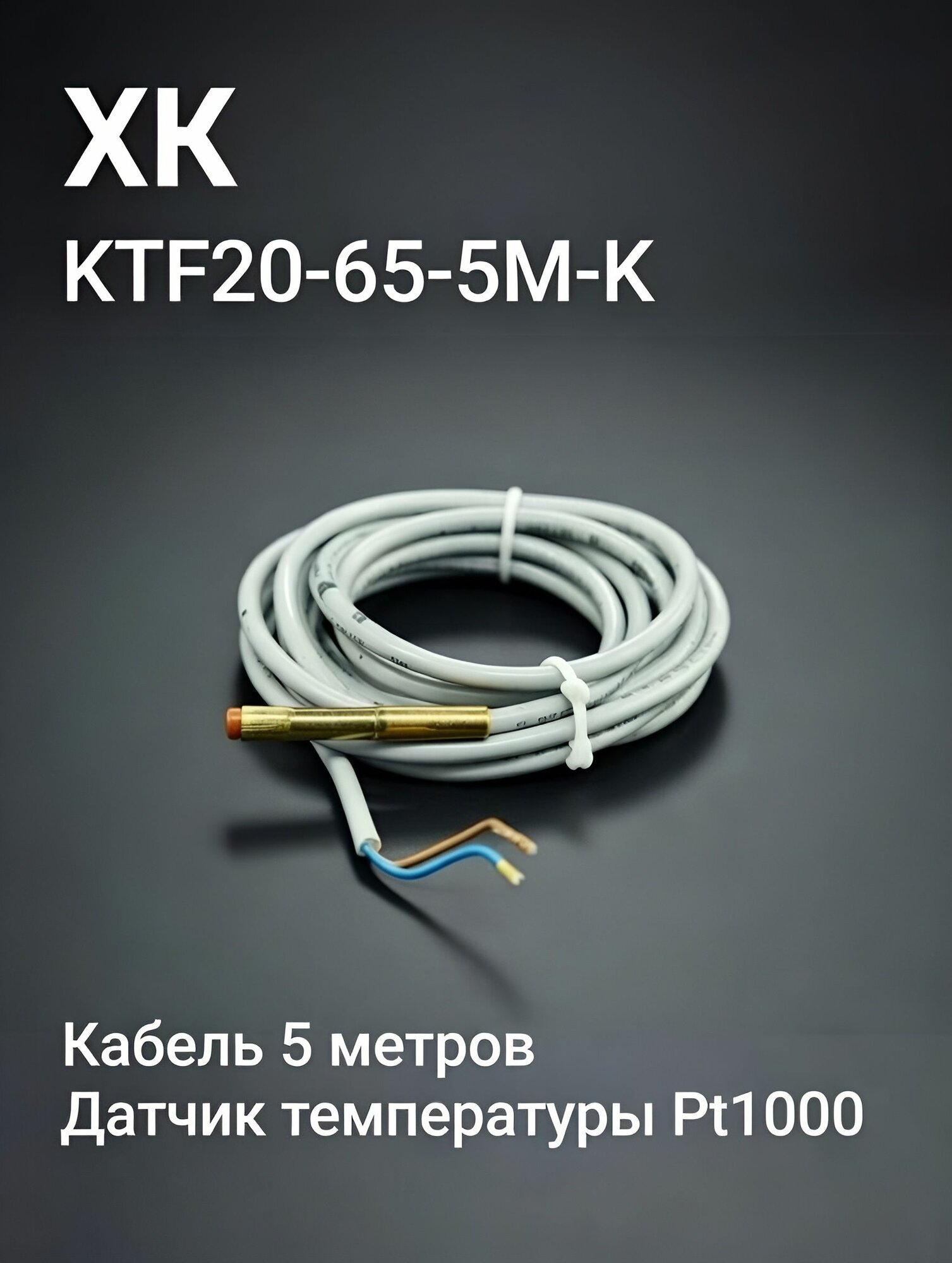 Датчик температуры погружной, кабельного типа Pt1000 "XK", 5м кабель (KTF20-65-5M-K)
