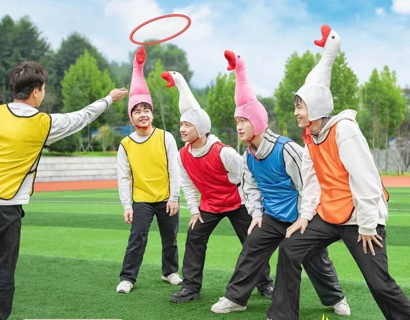 Набор для подвижных игр 'Активный Гусь' с разноцветными элементами, для детей 6-18 лет, унисекс, идеален для дома и улицы