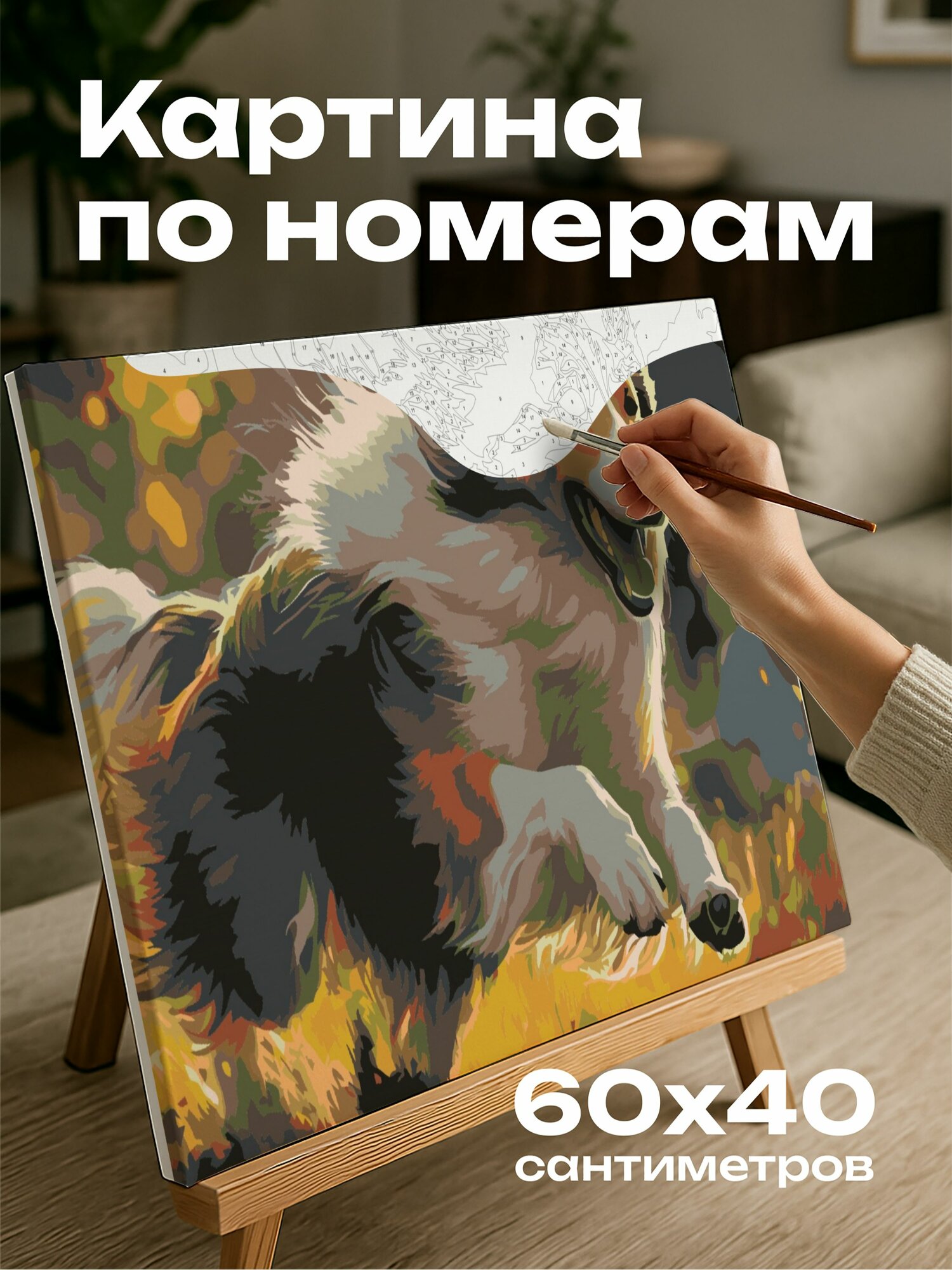 Картина по номерам 60x40 см, колли, семья, приключение, свежий воздух, энергия, игра, радость, товарищество