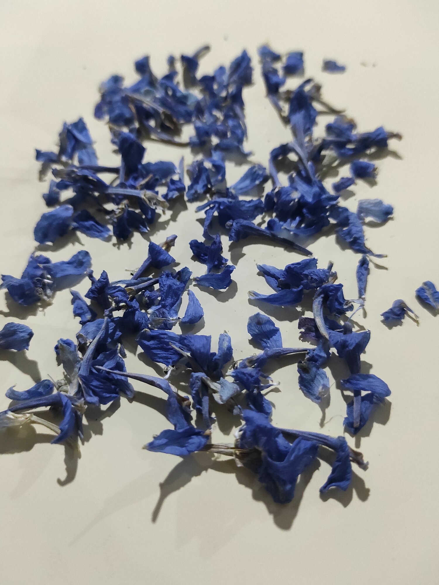 Набор сухоцветов для творчества