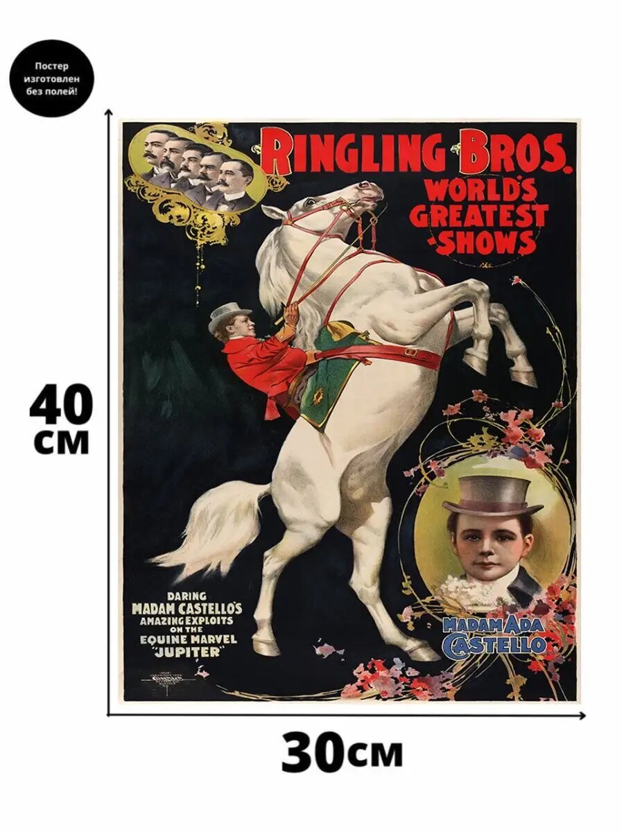 Постер лошадь конный спорт в ретро стиле