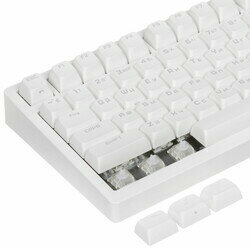 Клавиатура проводная ARDOR GAMING Viper, Gateron Magnetic, белый