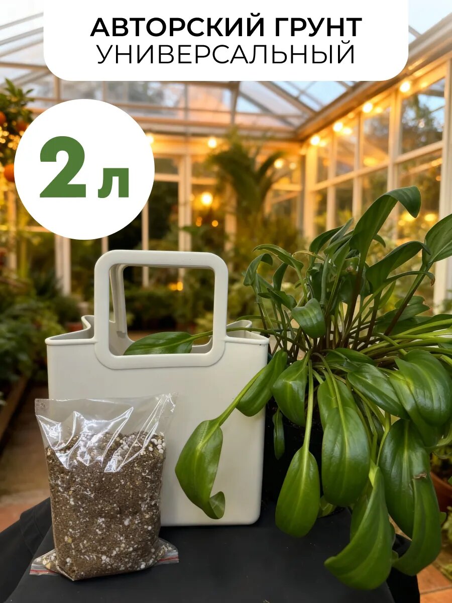 Авторский профессиональный грунт универсальный 2 литра от Sinitsa_Leaf