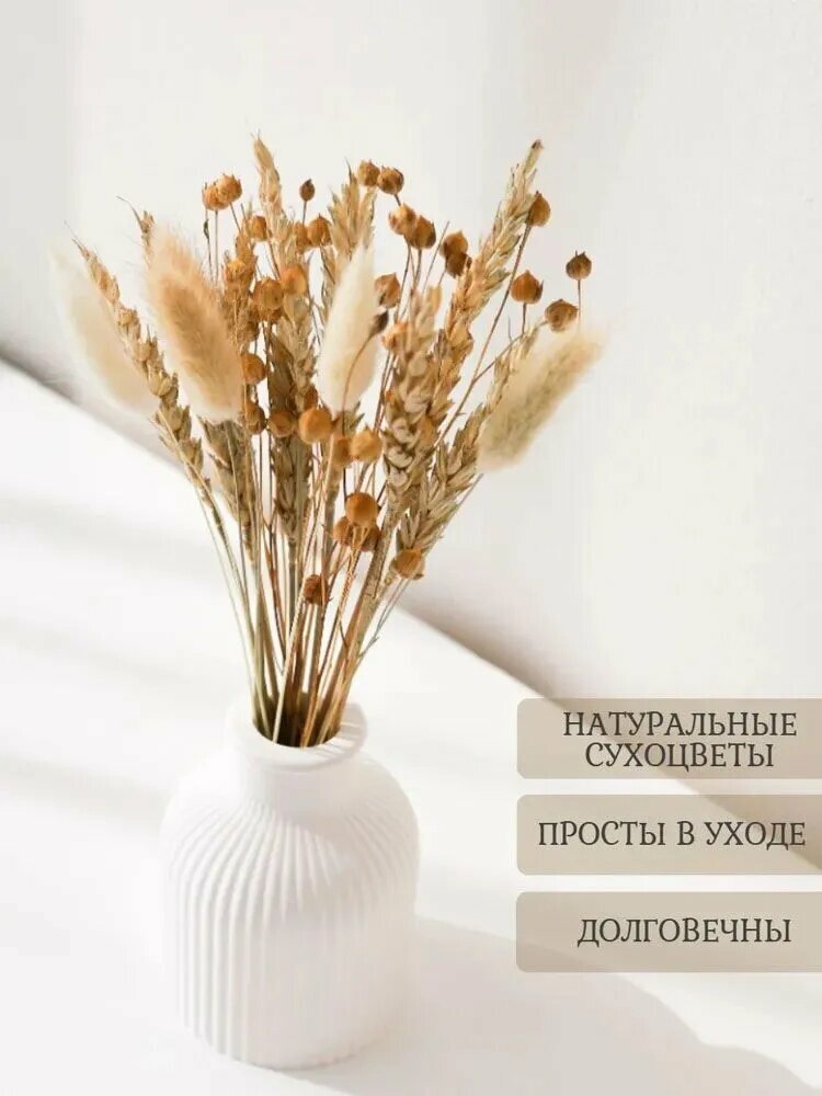 Сухоцветы — фото 1