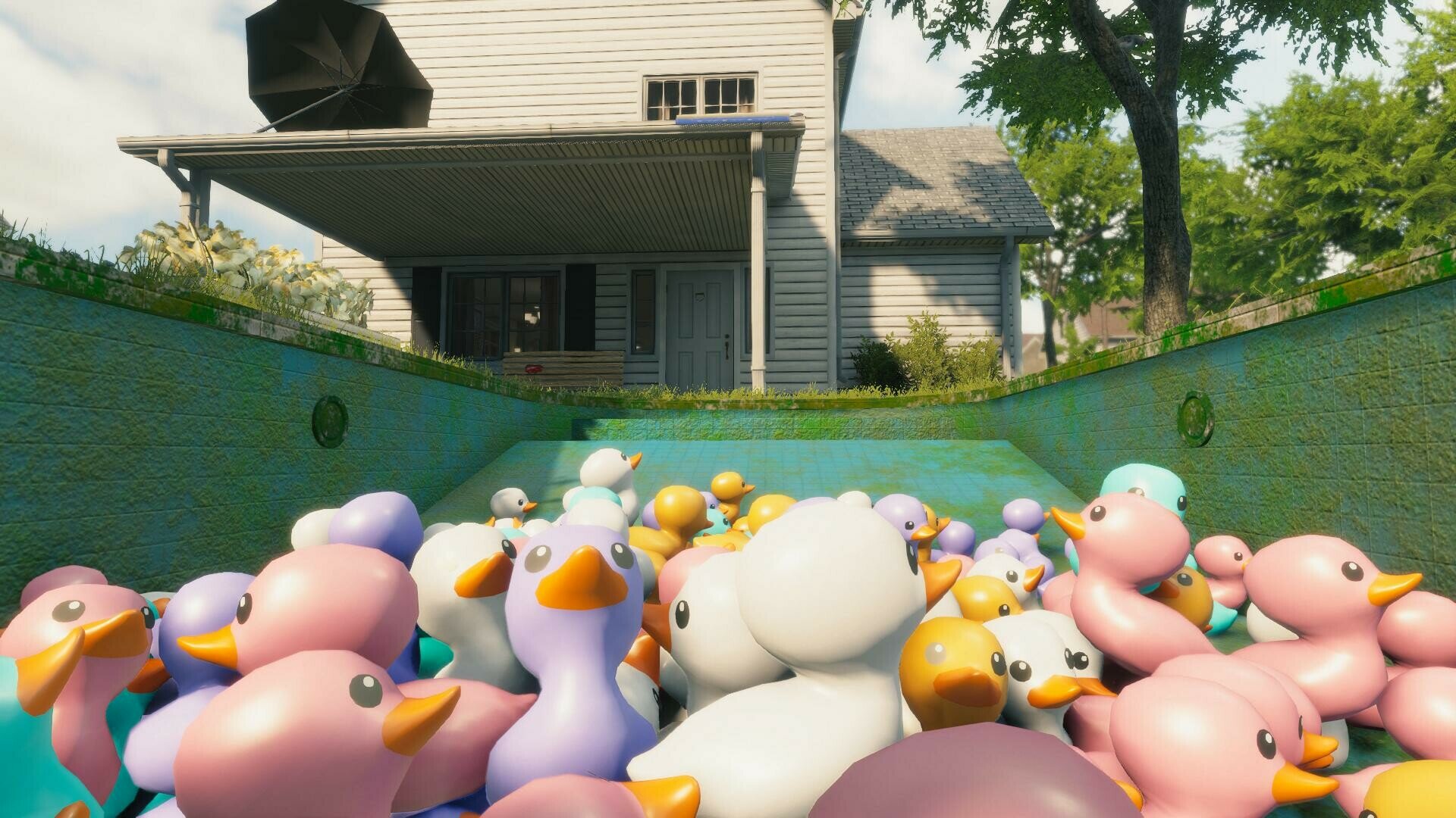 Pool Cleaning Simulator PC Steam Аккаунт • Активация Steam • регион Весь мир
