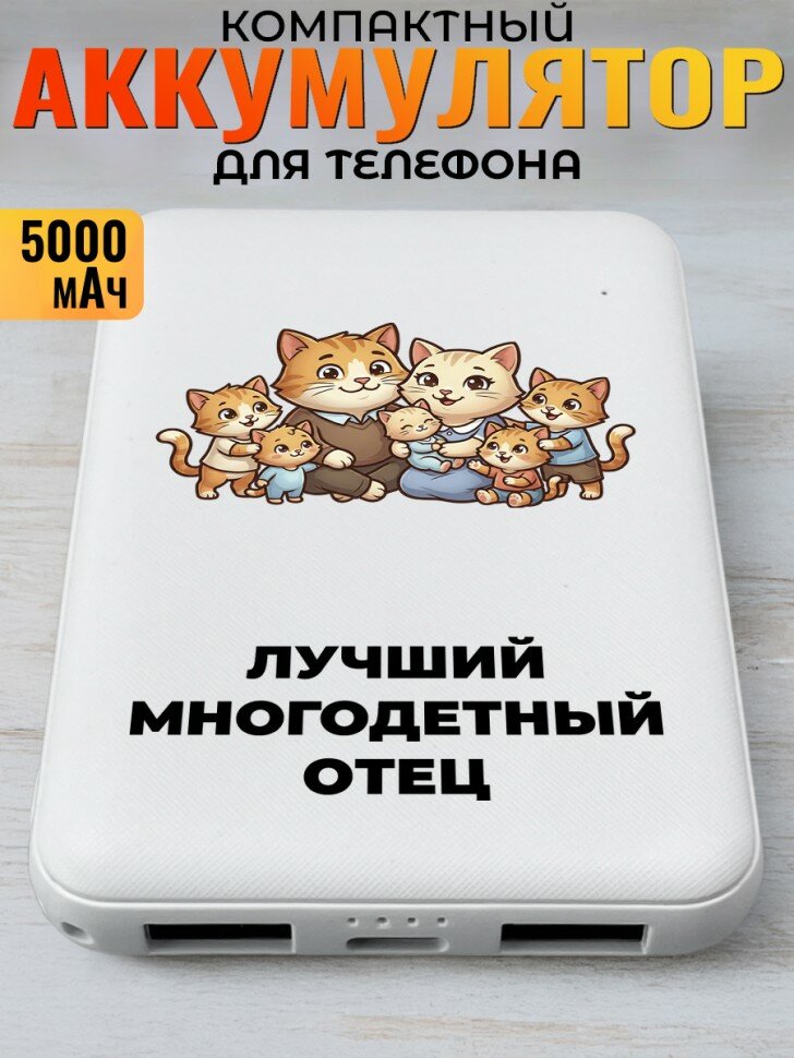 Повербанк "Лучший многодетный отец"