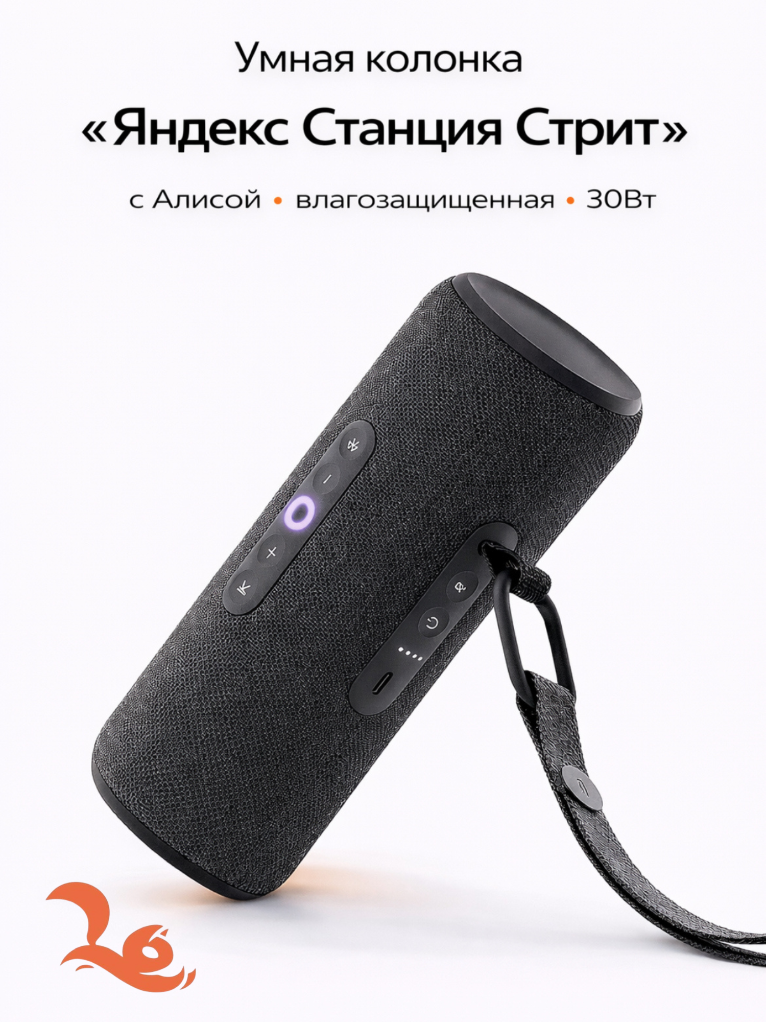 Портативная умная колонка Яндекс Станция Стрит с Алисой, 30 Вт, чёрный