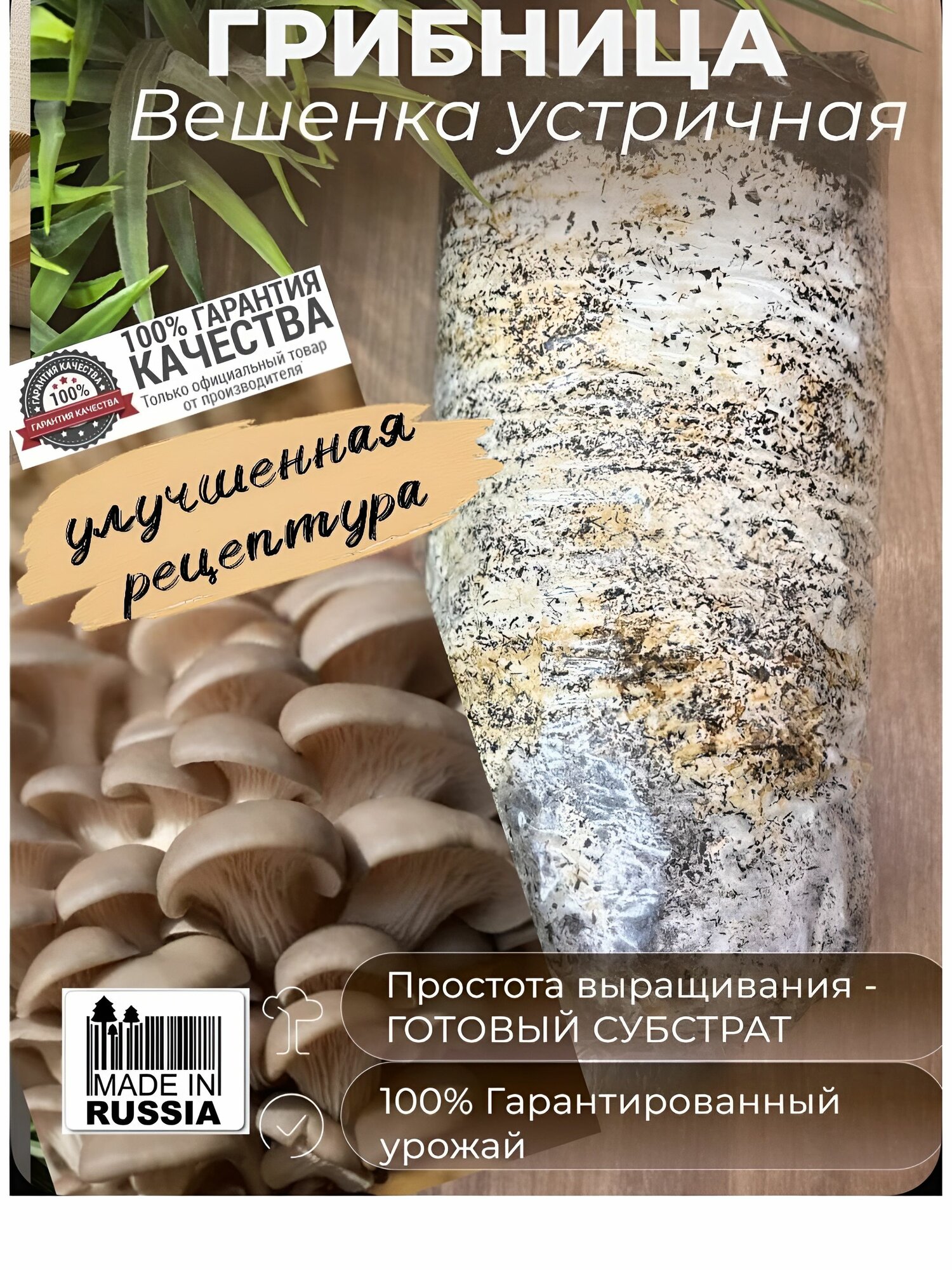 Выращивание грибов - домашняя грибница для дома, балкона, семена Вешенки (готовый субстрат)