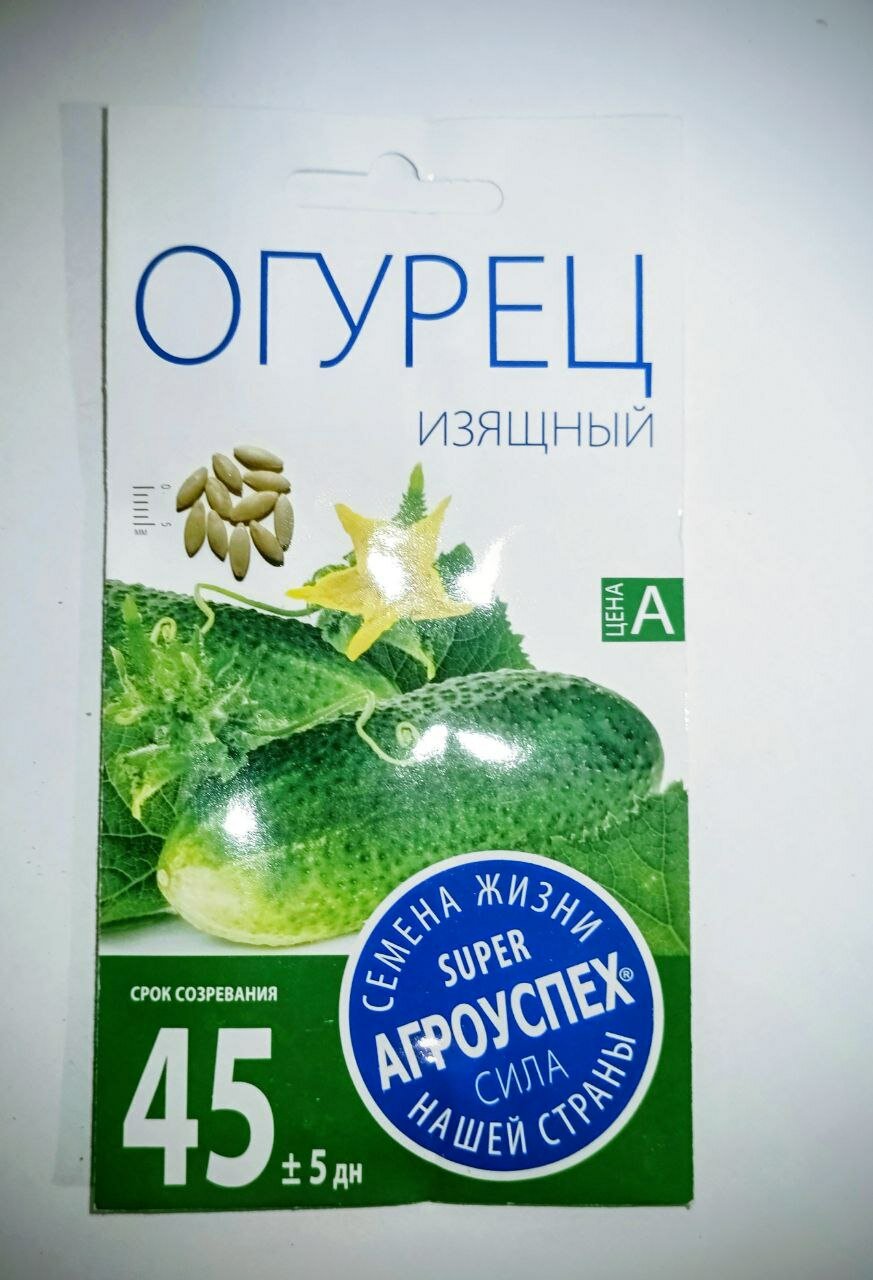 Семена огурец сорт Изящный Как для рассады так и для открытого грунта