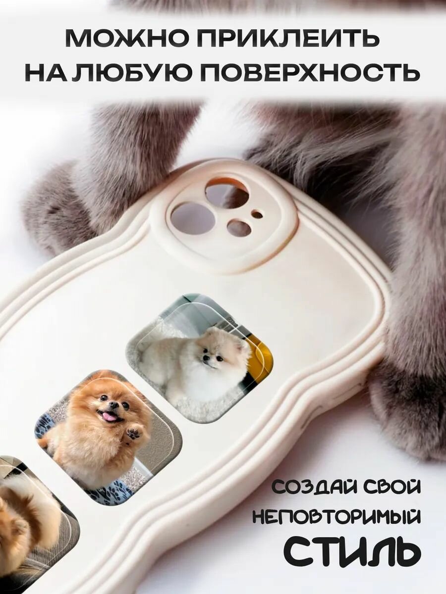 3D стикеры на телефон шпиц — фото 1