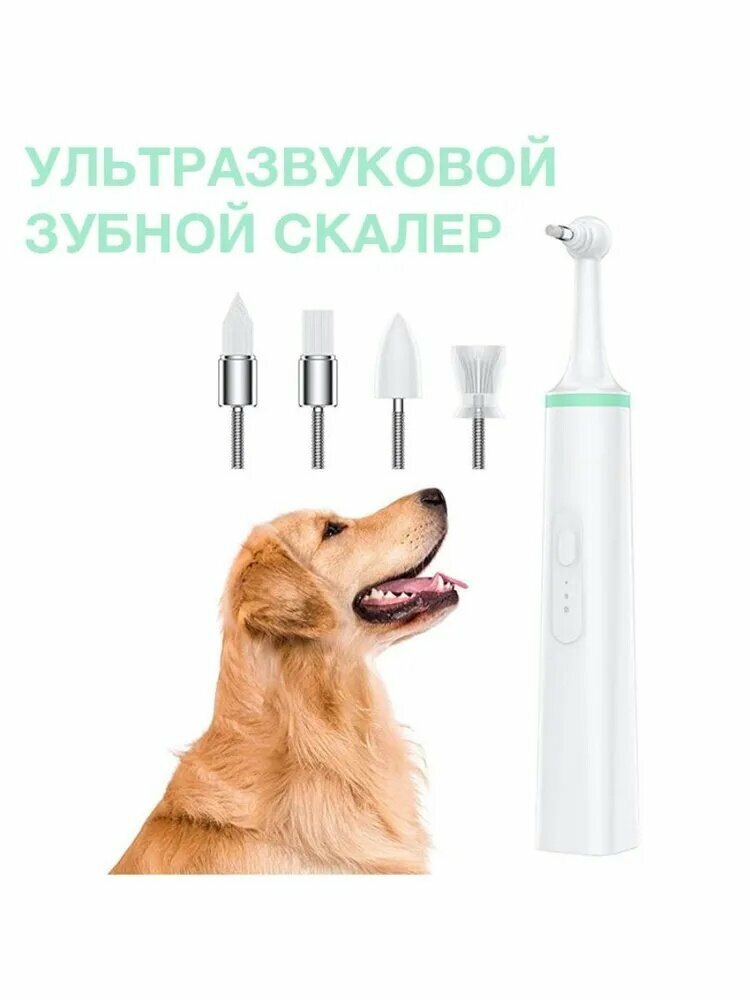 Зубная щетка для собак / Ультразвуковой скалер для удаления зубного камня у собак / Уход за полостью рта для животных