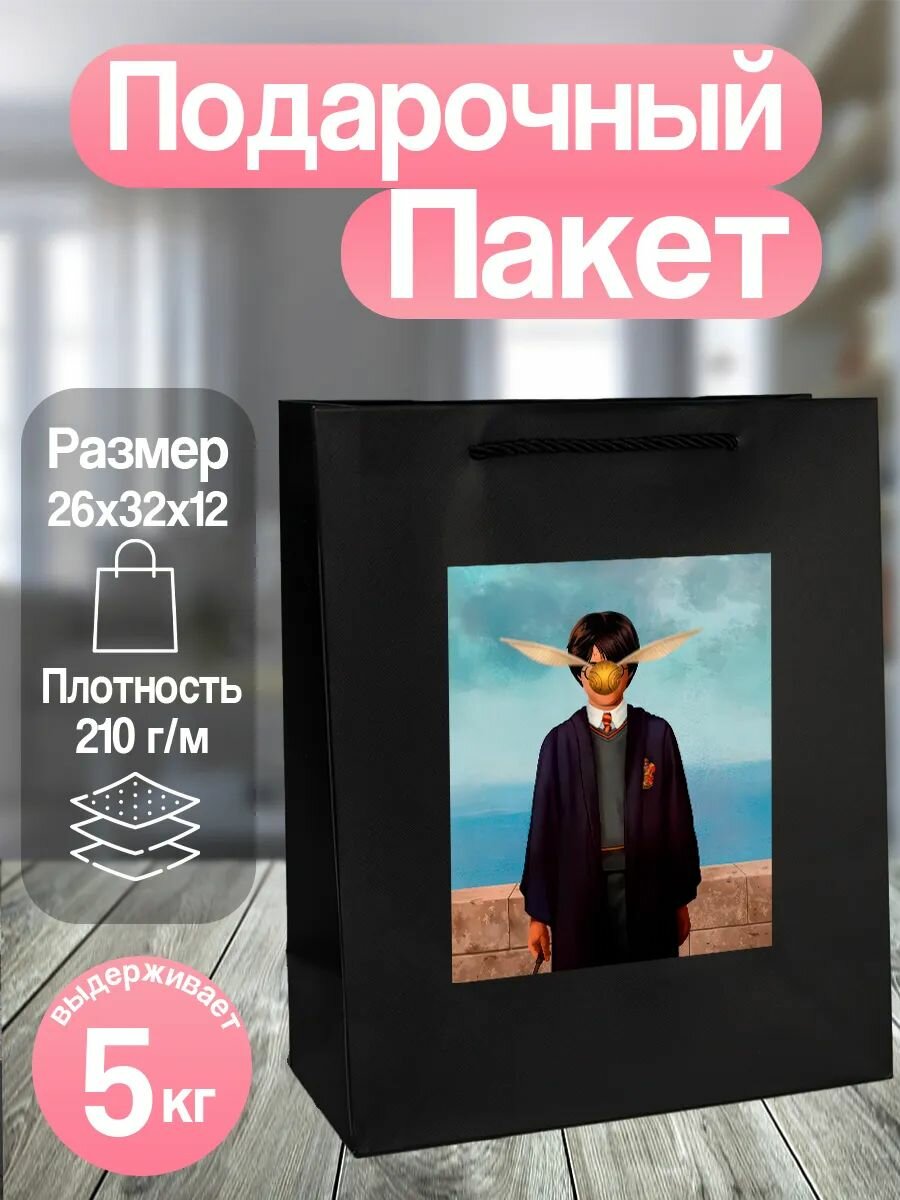Пакет подарочный Гарри Потер