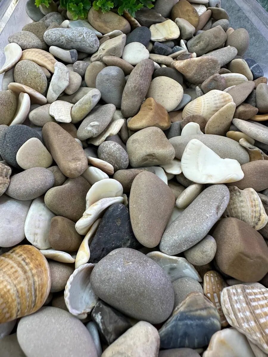 Галька каменная Каспийская 10-20 мм отборная