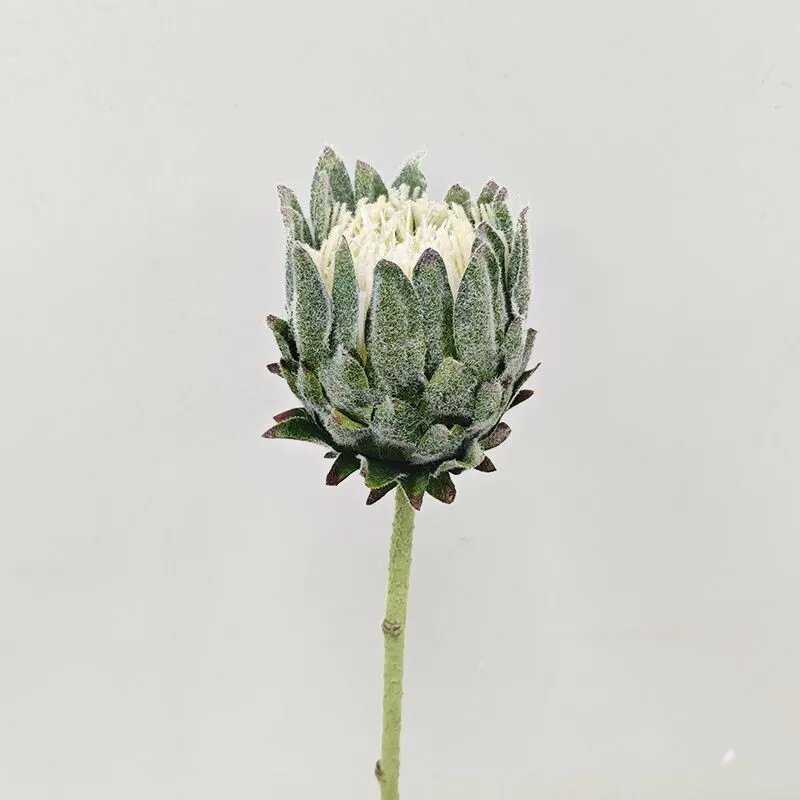 Стабилизированные цветы, 43 гр