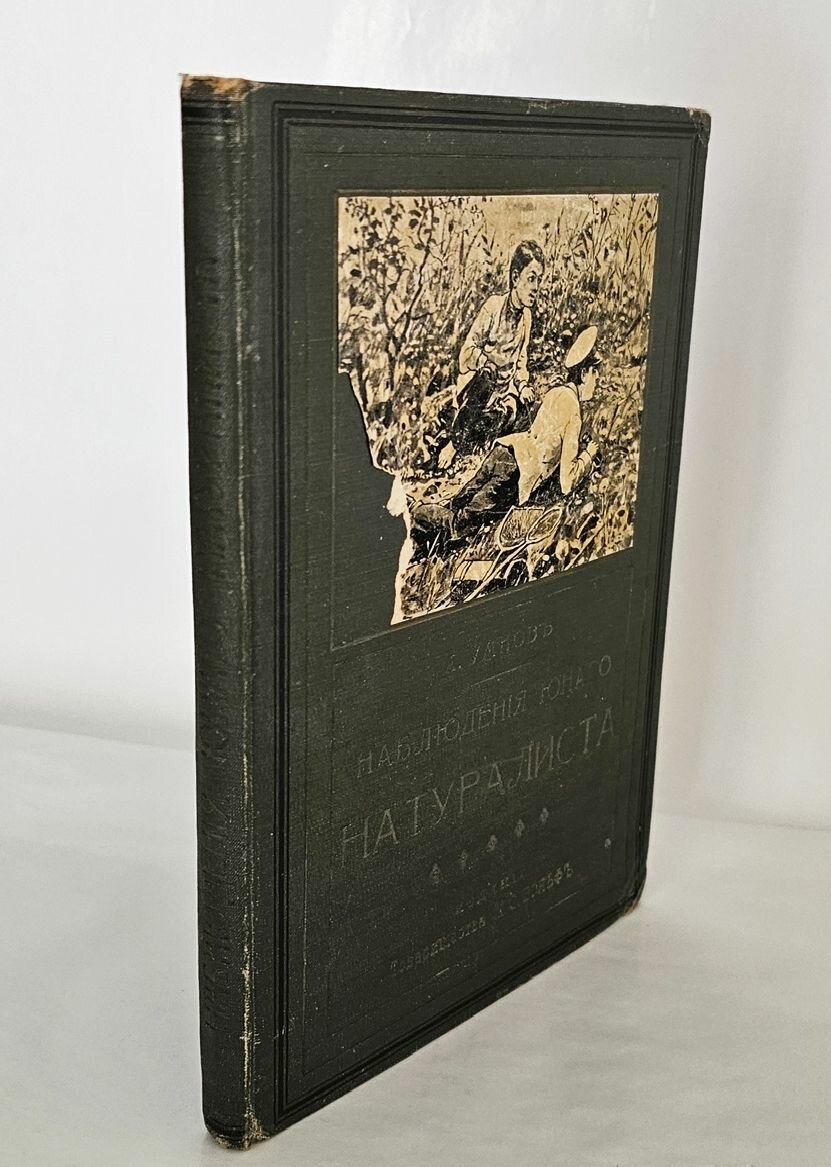 "Наблюдения юного натуралиста : Очерки А. А. Умнова". А. А. Умнов. 1909г.