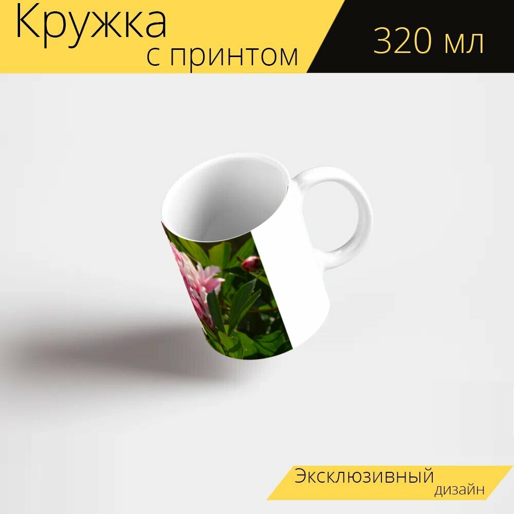 Кружка с рисунком, принтом "Пион, цветок, цвести" 320 мл.