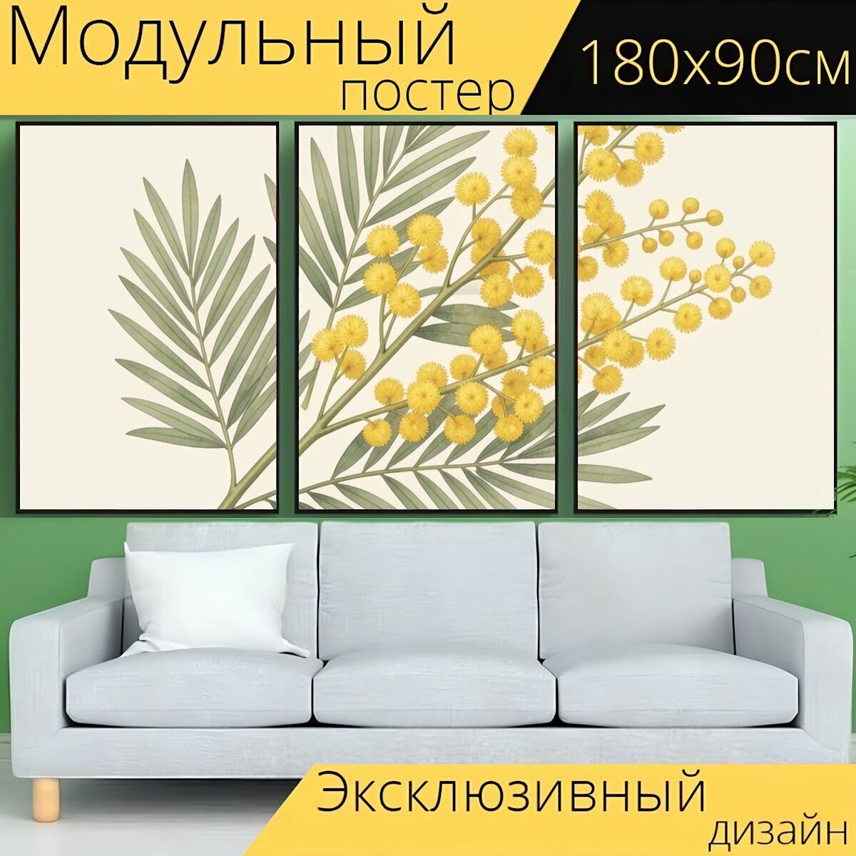 Модульный постер "Ветка мимозы с листьями. Ботаническая иллюстрация акации с пушистыми желтыми соцветиями и тонкой зеленой листвой на." 180 x 90 см. для интерьера на стену в тубусе