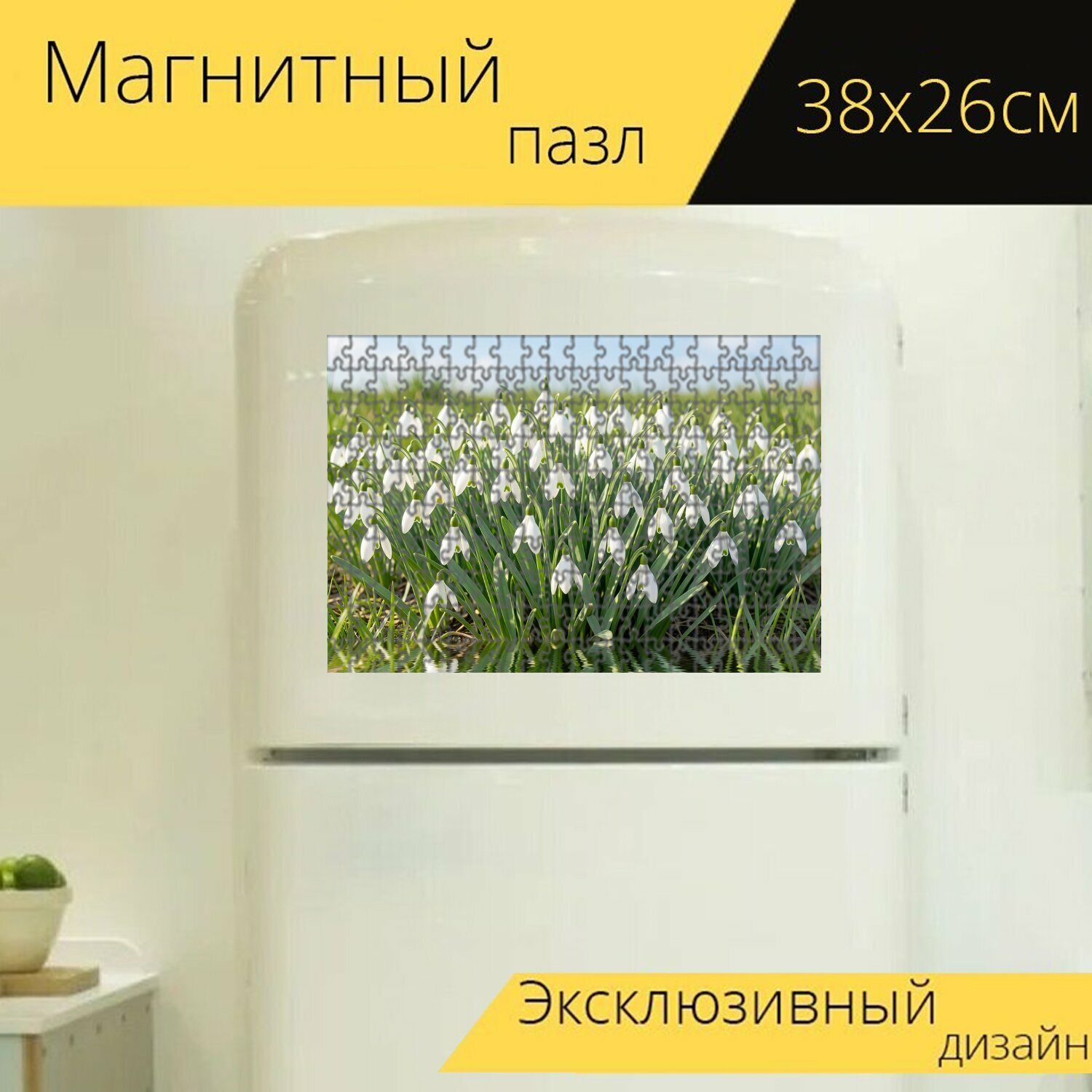Магнитный пазл "Подснежники у воды весной. Нежные белоснежные первоцветы на зеленой траве у кромки пруда, с отражением в воде. Светлый природный пейзаж в." для интерьера, 38х26 см.