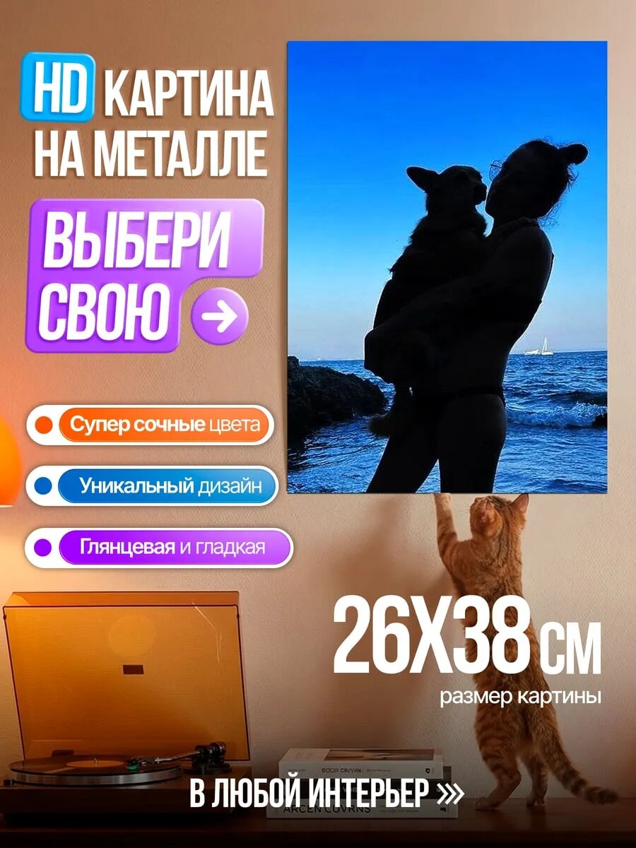 Картина на HD металле Силуэт девушки с собакой