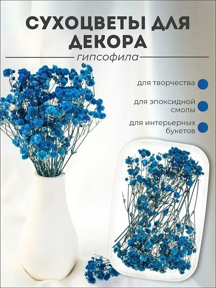 Сухоцветы Гипсофила, 1 шт