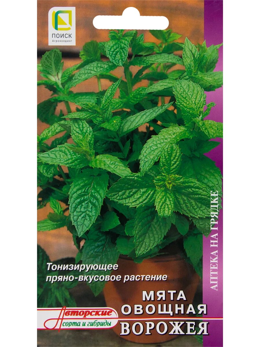 Семена Мята овощная «Ворожея»