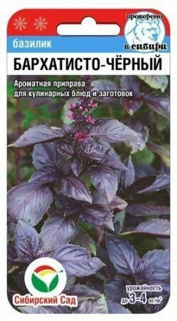 Базилик "Бархатисто-черный" Ароматная приправа "Сибирский сад"