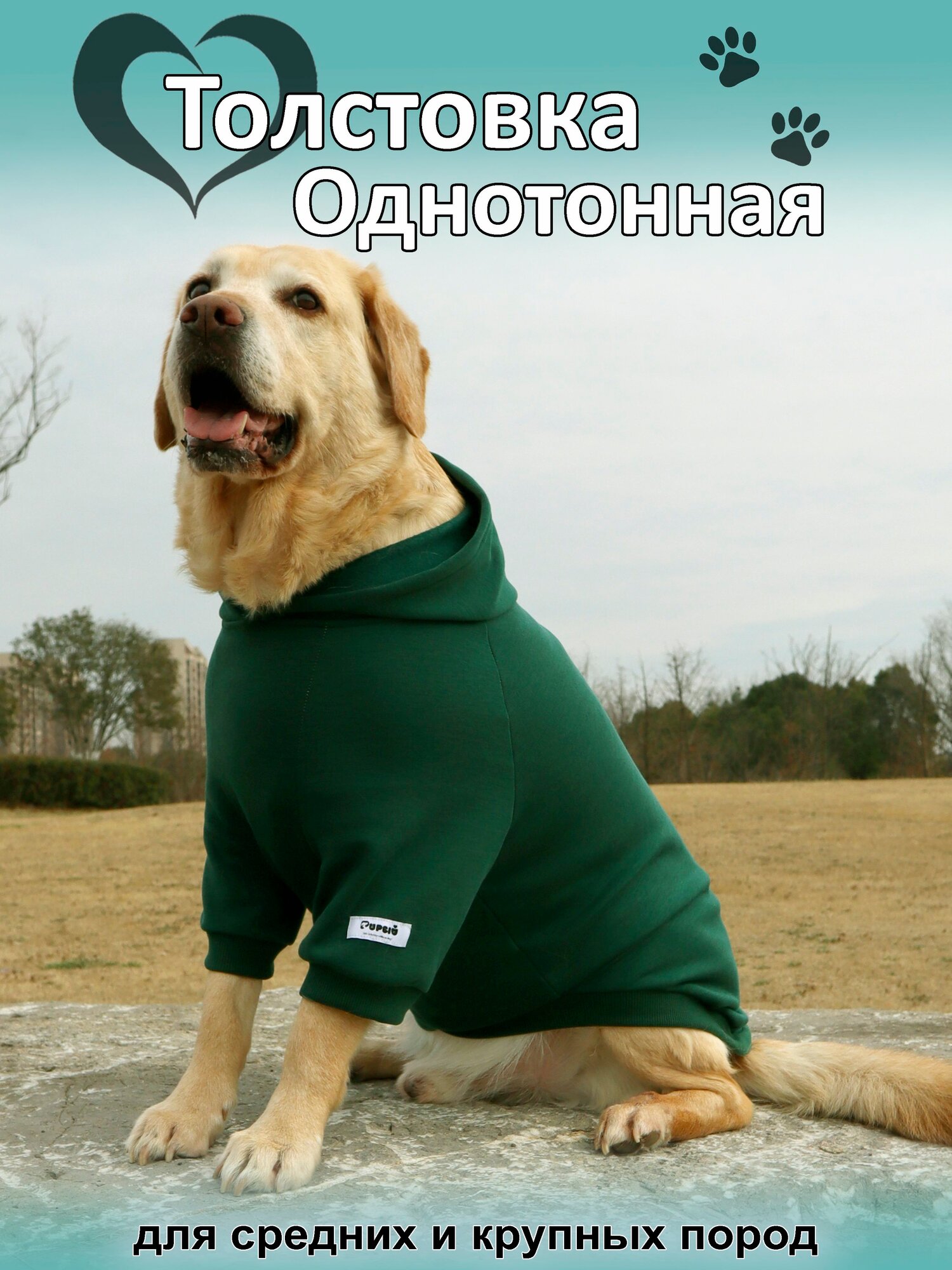 Толстовка, одежда для собак средних и крупных пород "Однотонная", цвет изумрудно-зеленый, размер 2XL, Rexy Crew