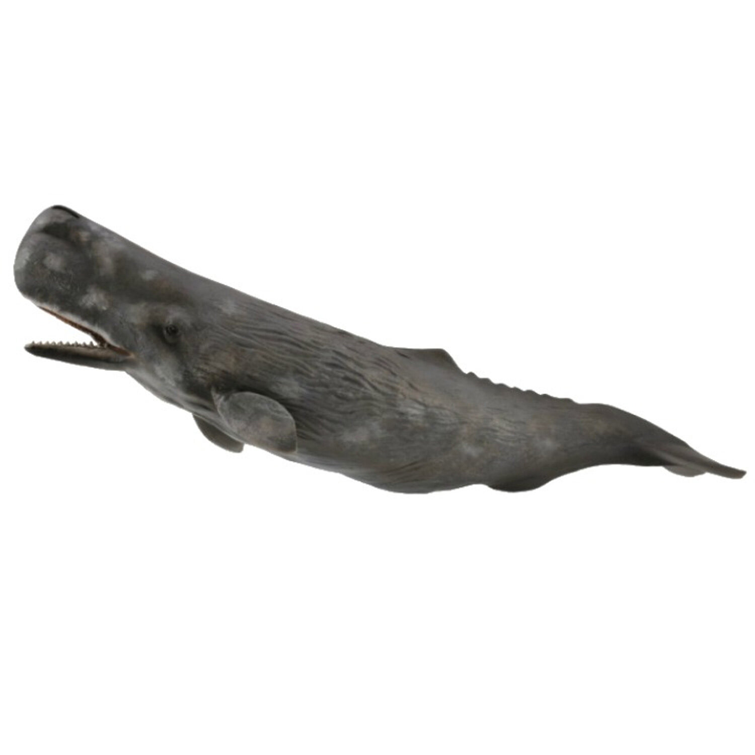 Collecta Фигурка Кашалот XL 88835b с 3 лет