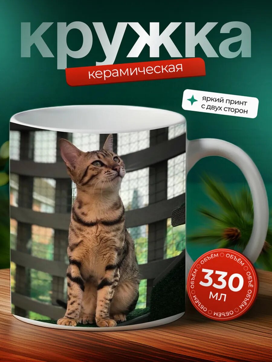 Кружка Египетский мау кот 49,