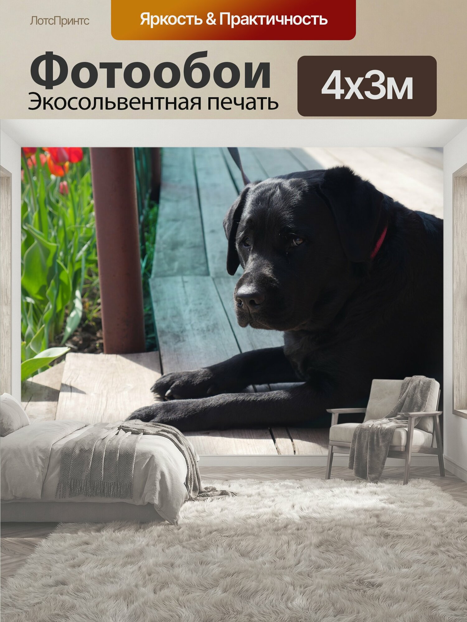 Фотообои "Собака, черная собака, лабрадор" 400x300 см. экосольвентная печать