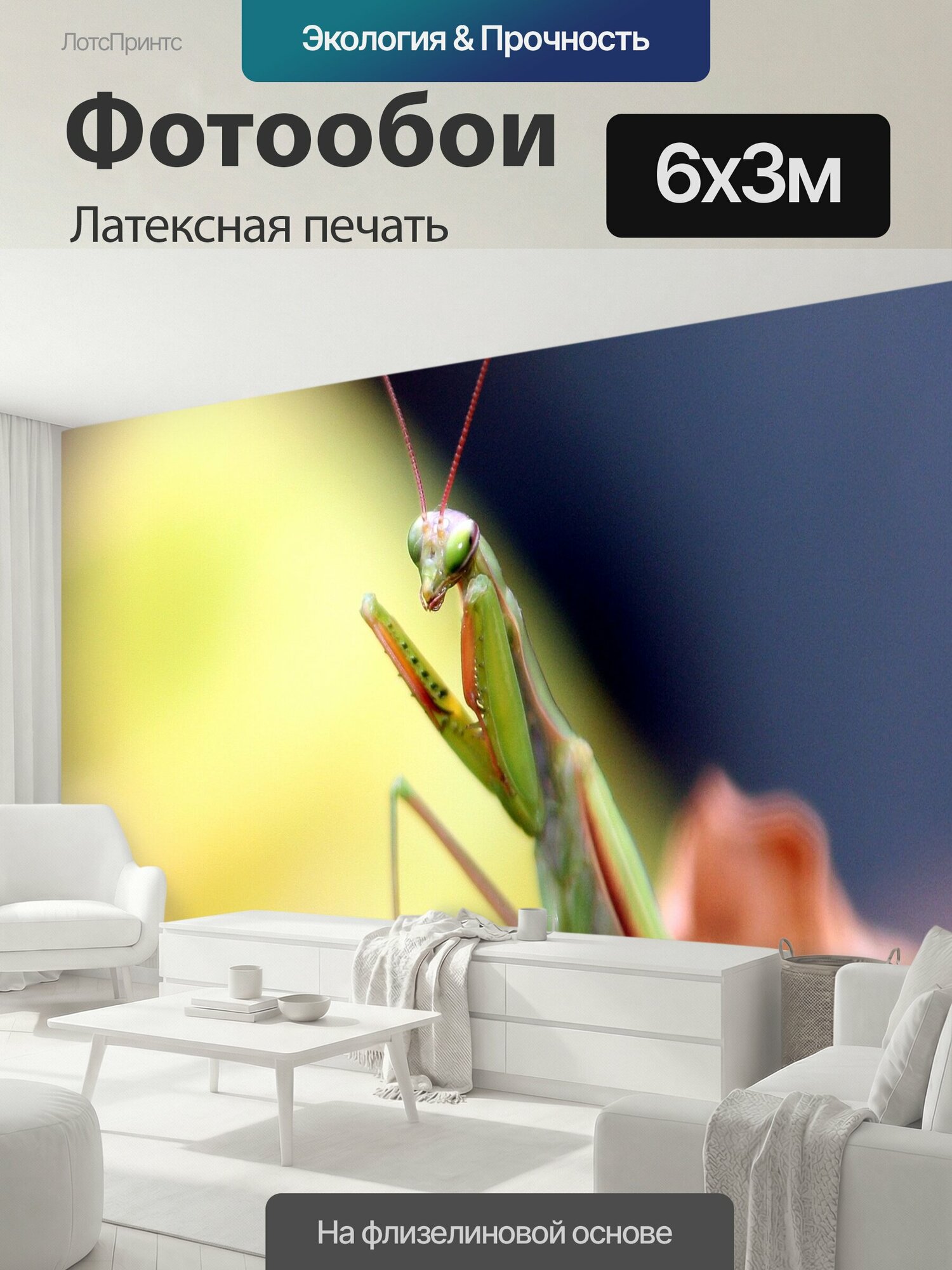 Фотообои моющиеся ударопрочные "Насекомое, богомол, кузнечик" 600x300 см. латексная печать