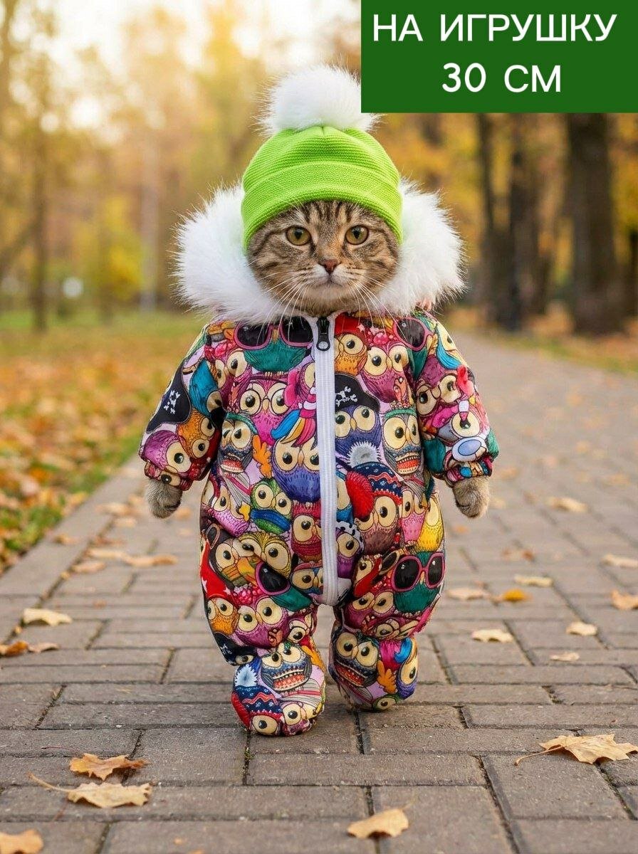 Одежда для кота Басика