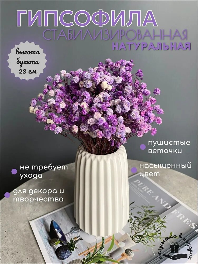 Стабилизированные цветы Гипсофила, 23 см, 25 гр, 1 шт