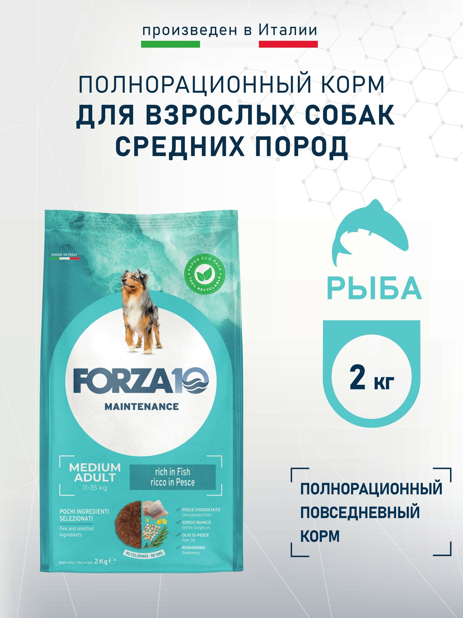 Корм сухой для собак FORZA10 Maintenance Fish Medium из рыбы, для взрослых собак средних пород, 2 кг